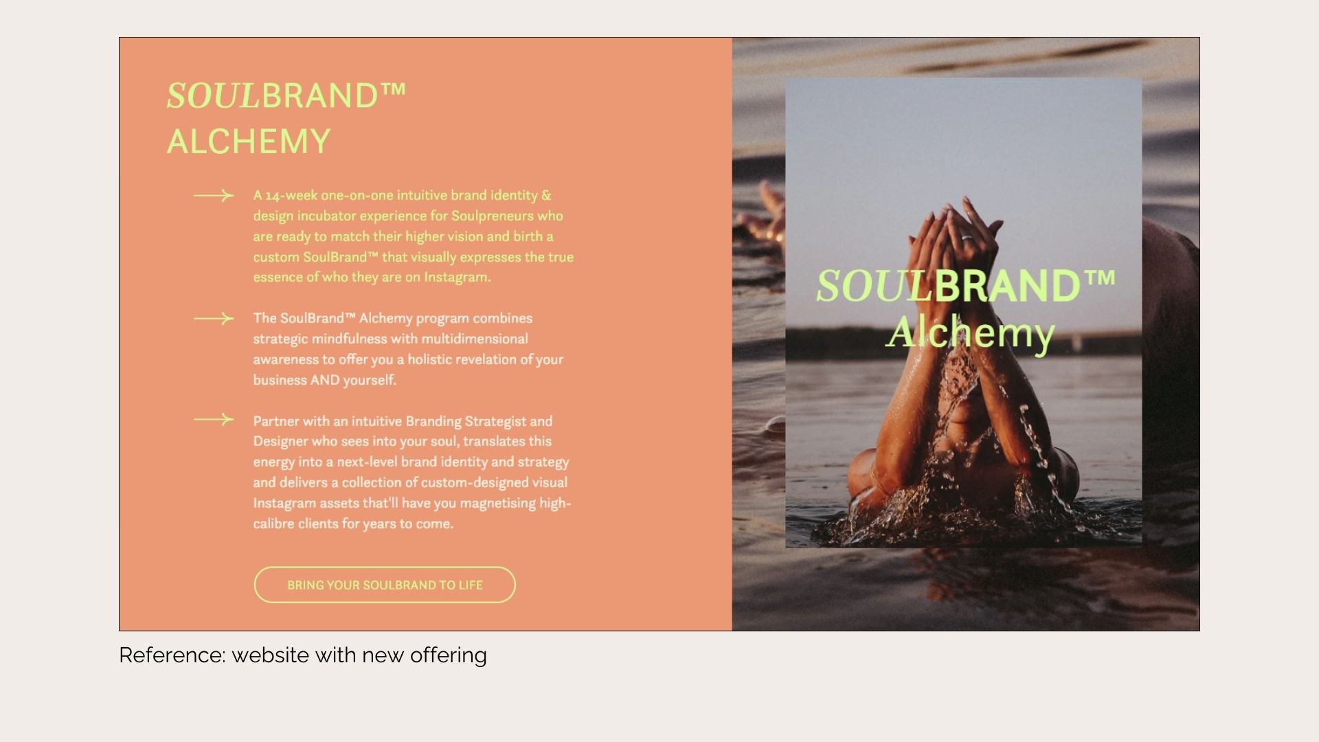 Client Case Study Jasmine - Kiara Maree